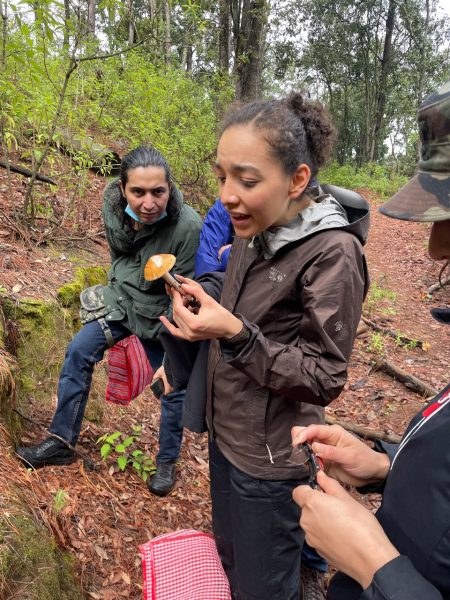 SECMA | Bosque Uakusi es una reserva de gran valor ecológico para Morelia